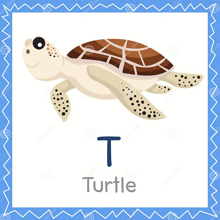 Illustrator of T for Turtle Animal Stock Vector - Illustration of ocean ...