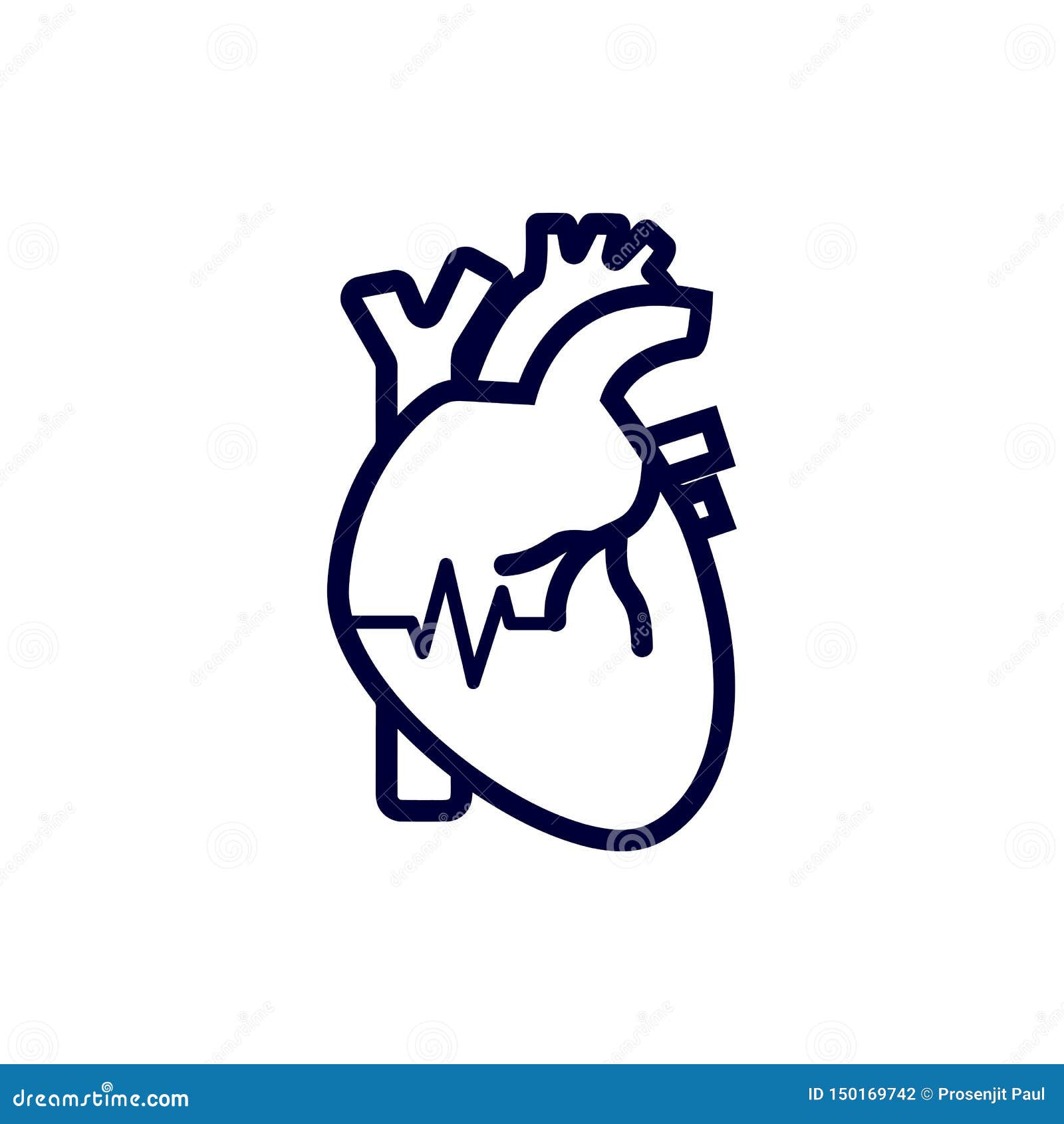 Heart, Human, Vector, Illustration, Medical, Health,sign,body, Blood ...