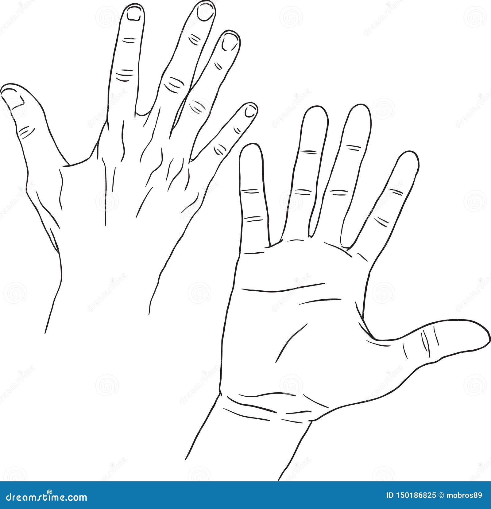 Hand Drawn in Black Line Art Illustration, Hand Palm Front View Stock ...