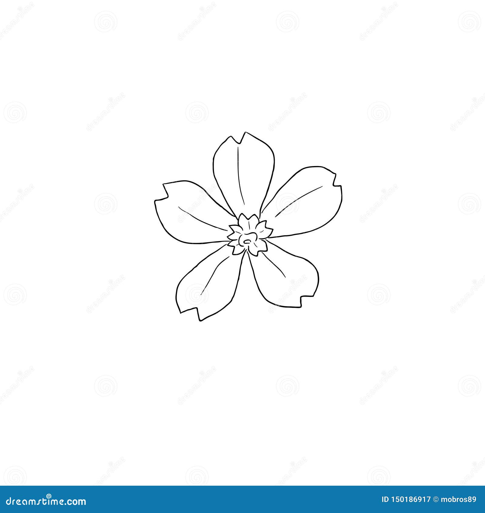 Black Line Art Creeping Phlox Flower in Hand Drawn Vector Stock ...