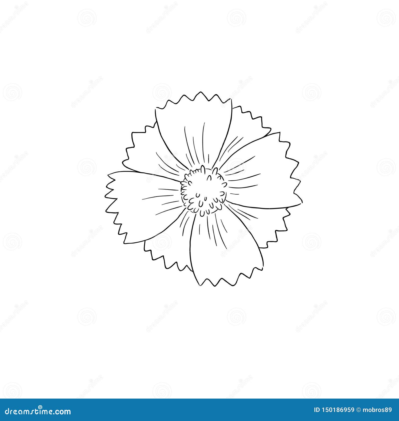 Black Line Art Cosmos Flower Vector Stock Illustration - Illustration ...