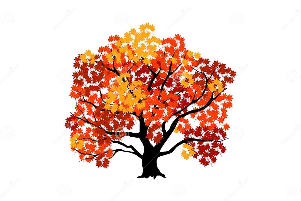Maple tree stock illustration. Illustration of green - 150944626