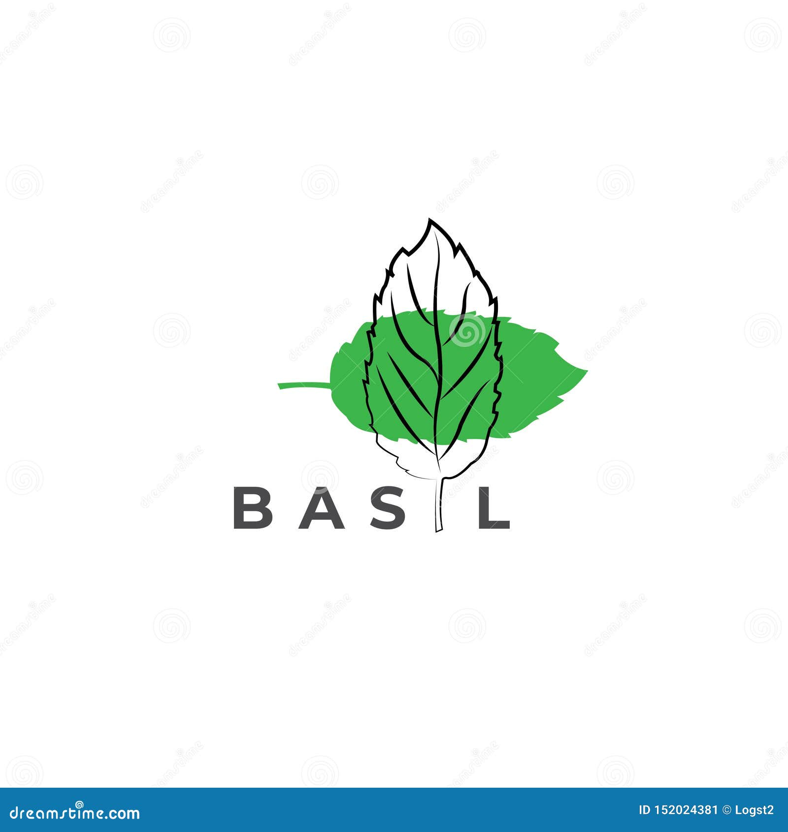 Basil Vector Logo. Basil Illustration Stock Vector - Illustration of ...