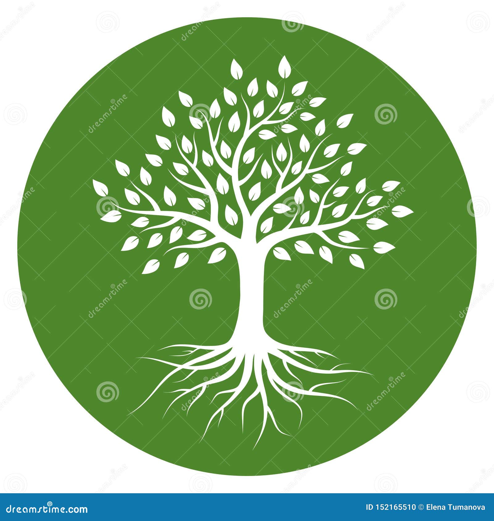 Family Tree With Roots And Branches