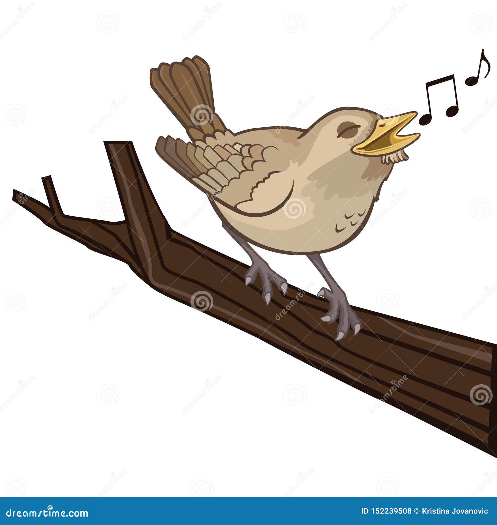 Nightingale Singing On A Branch With Flowers Cartoon Vector ...