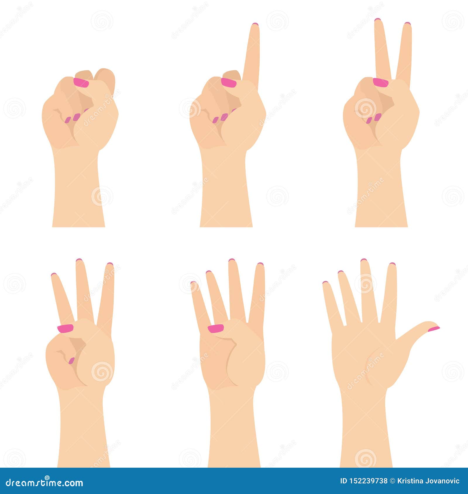 Elegant Woman Hands Counting To Five Flat Vector Illustration Set ...