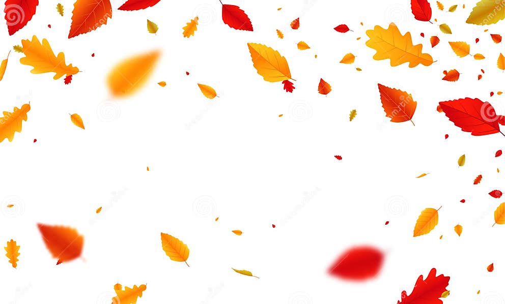 Autumn Falling Leaves Banner Design Stock Vector - Illustration of blur ...