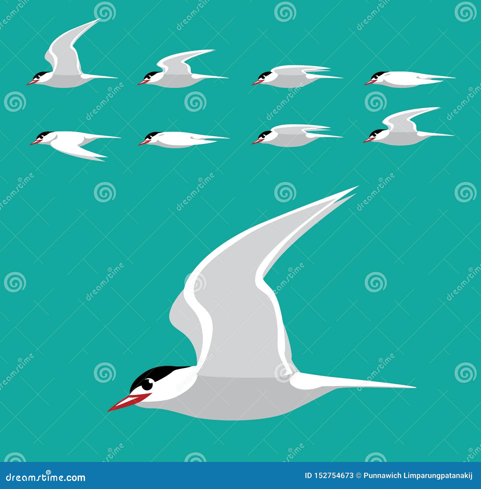 Tern Flying Animation Sequence Cartoon Vector Stock Vector ...
