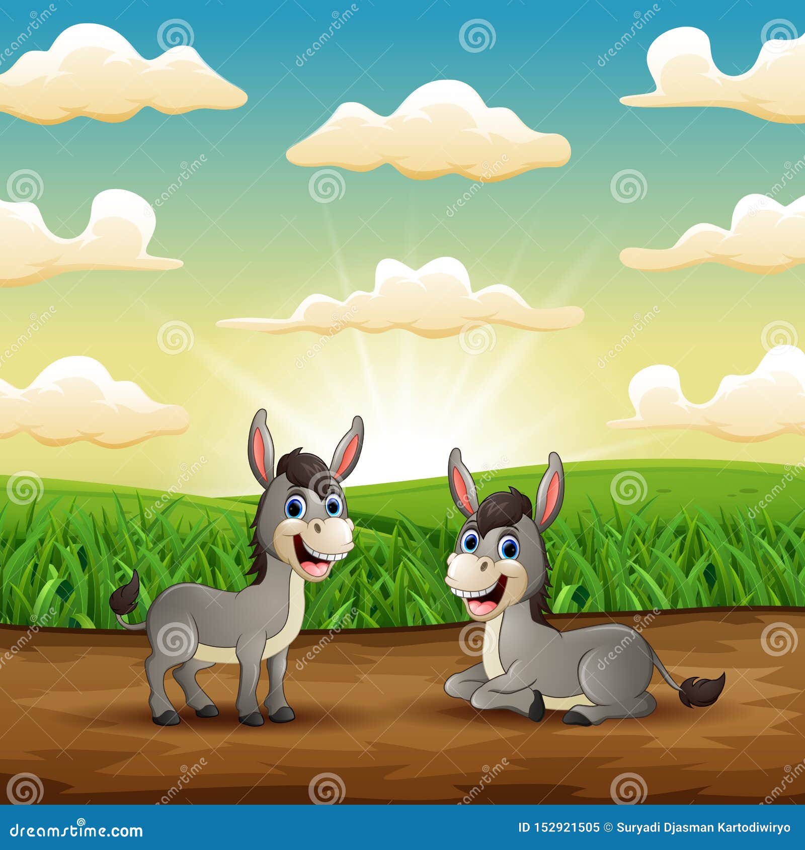 Two Funny Donkey Smiling in the Field Stock Vector - Illustration of ...