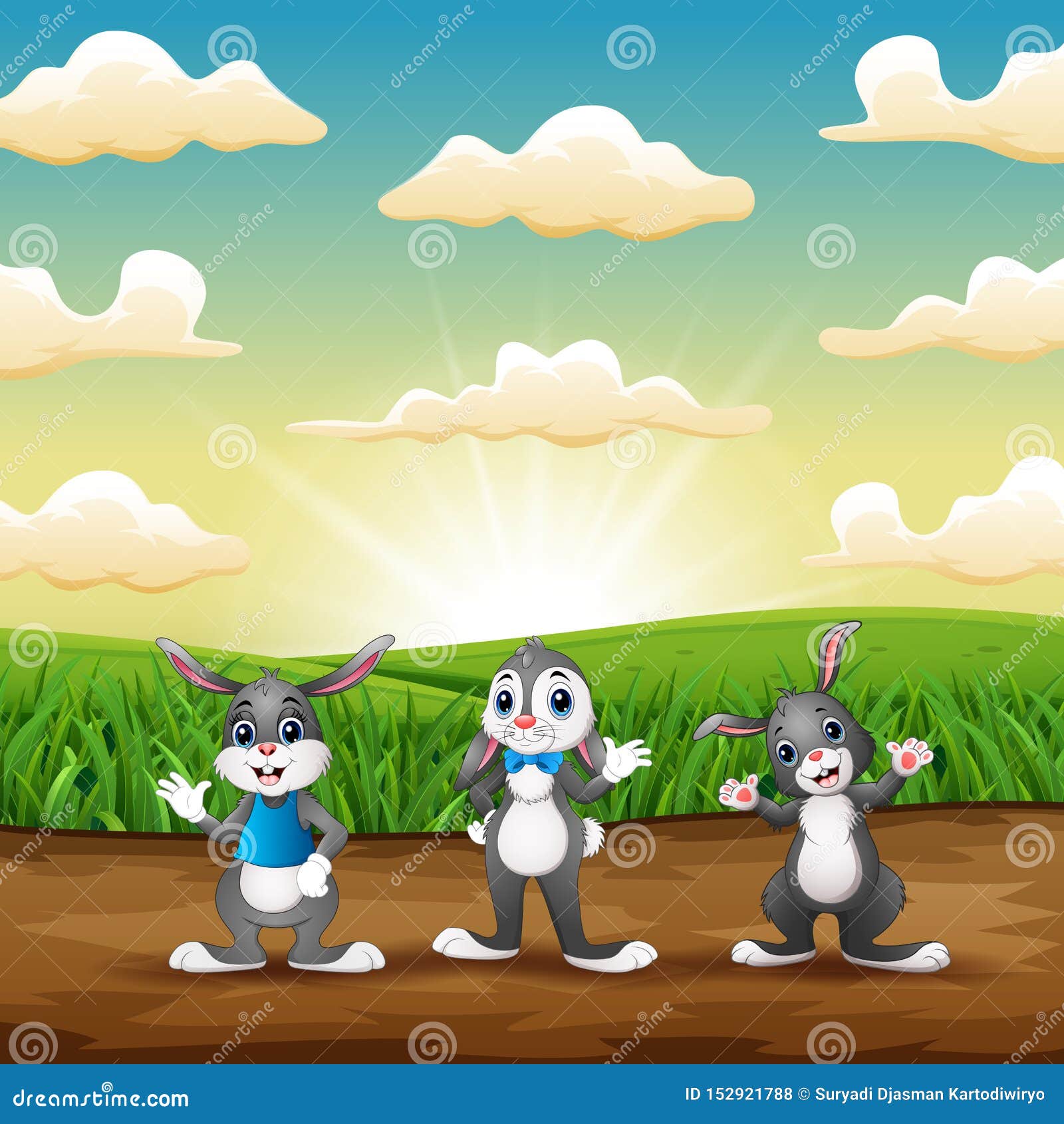 Three Rabbits Standing on Field in the Morning Stock Vector ...
