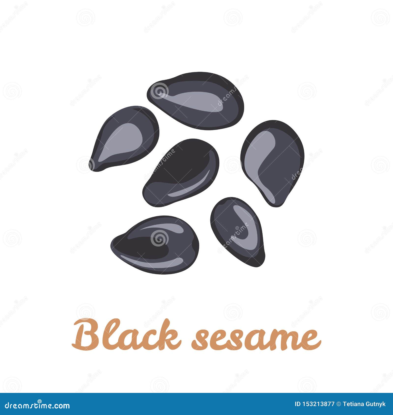 Sesame Vector Stock Illustrations – 13,539 Sesame Vector Stock ...