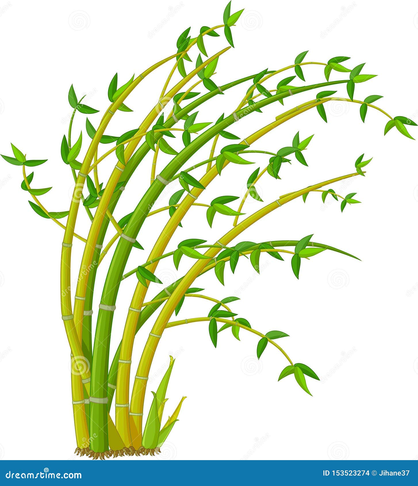 Funny Bamboo Cartoon stock illustration. Illustration of bamboo - 153523274