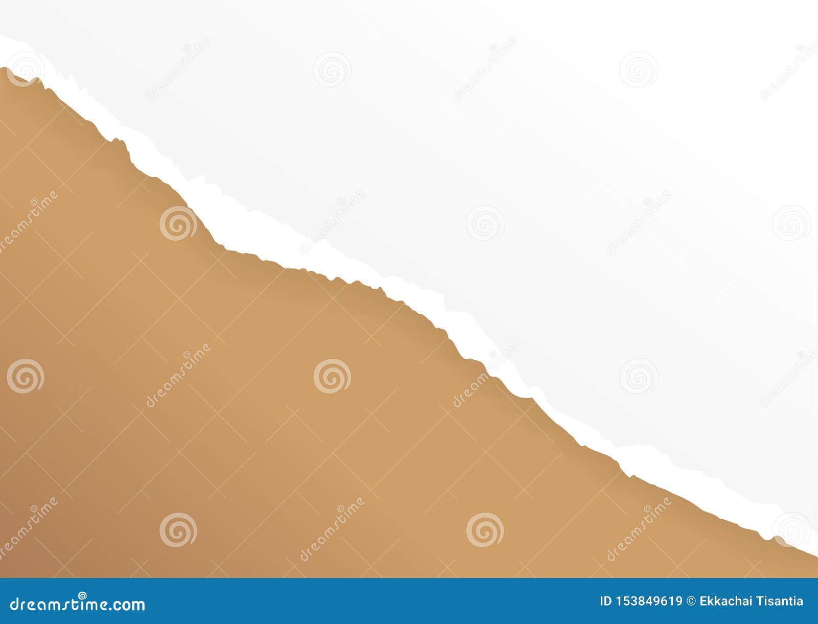 Tear Paper on Abstract Background.vector Illustration Stock Vector ...