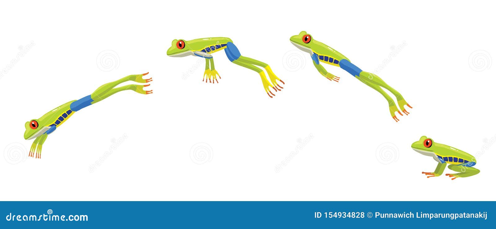 Red Eyed Tree Frog Jumping