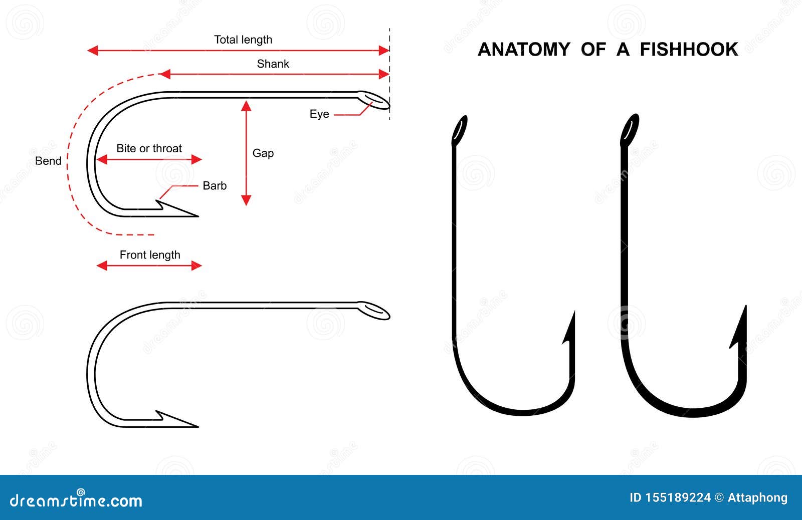 Anatomy of a Fish Hook Fish Hook Isolated on White Background Vector ...