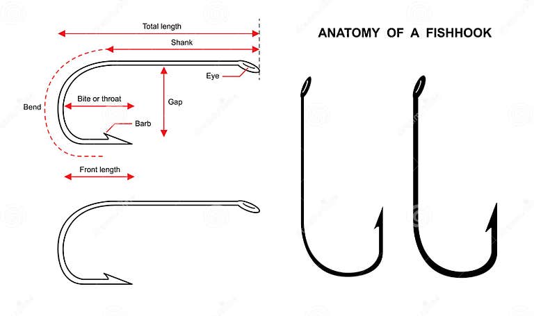 Anatomy of a Fish Hook Fish Hook Isolated on White Background Vector ...