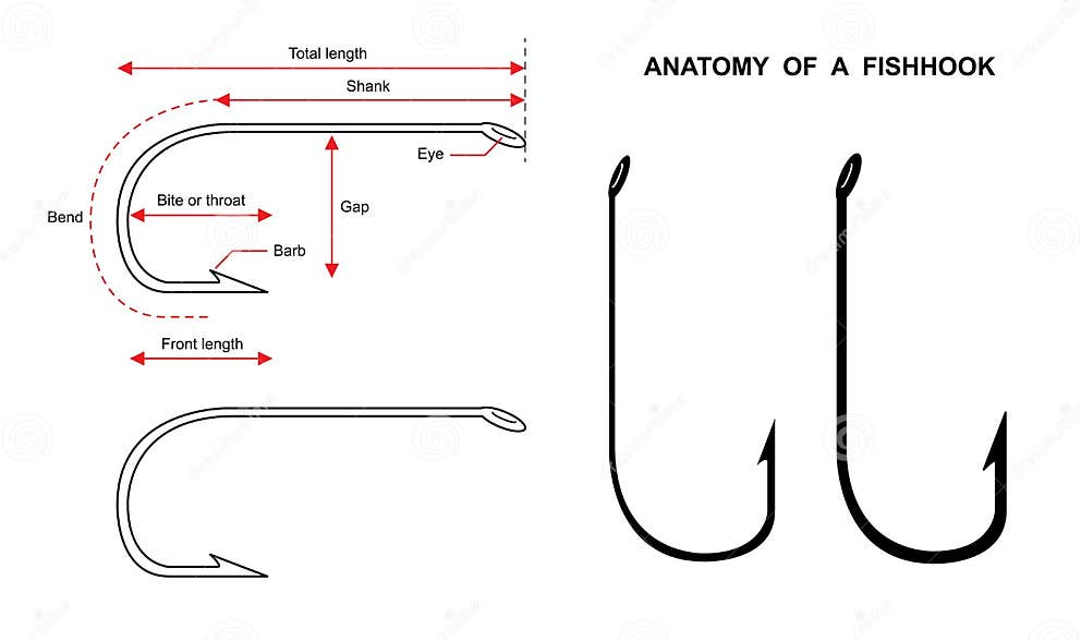 Anatomy of a Fish Hook Fish Hook Isolated on White Background Vector ...