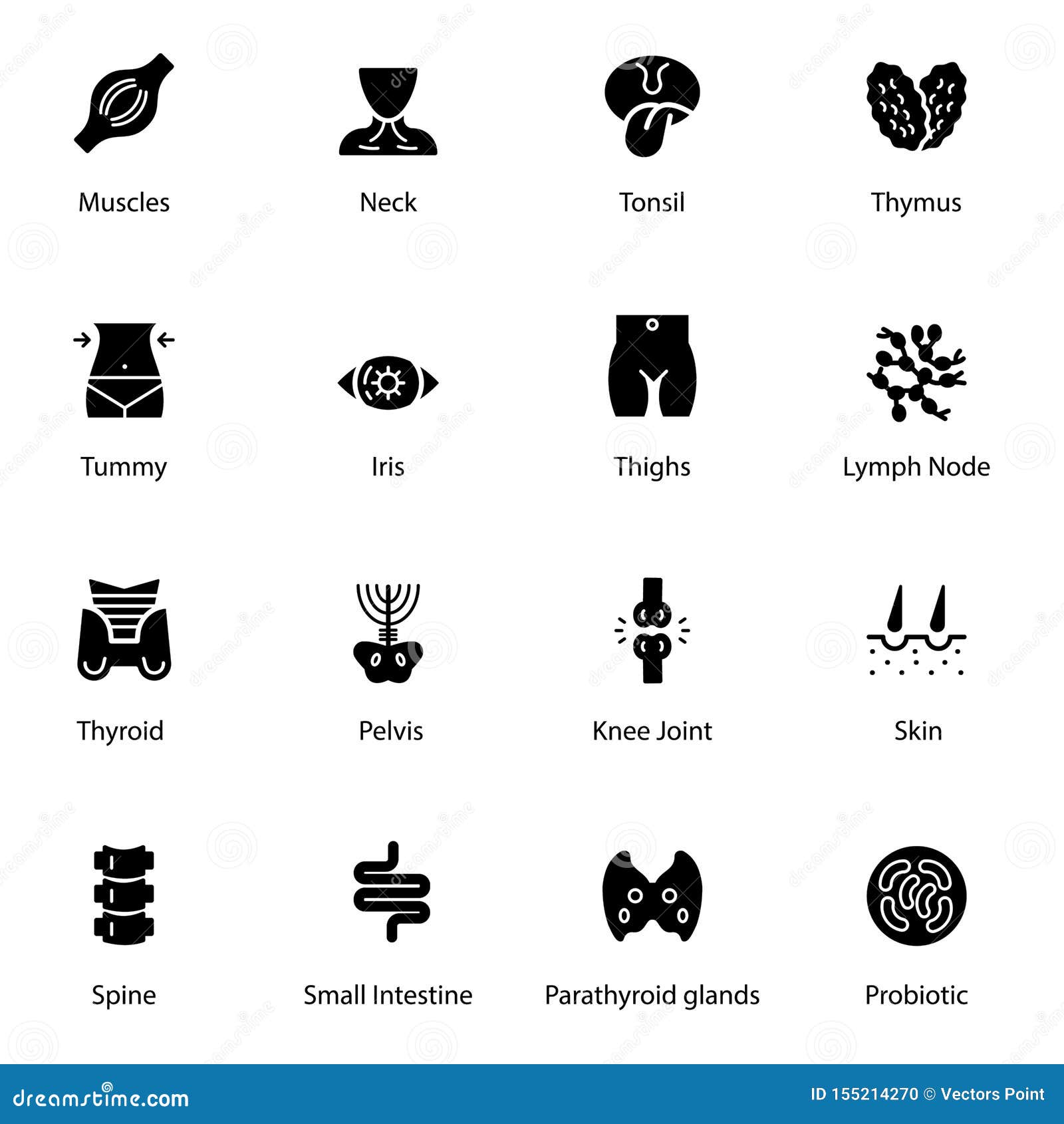 Human Anatomy Solid Icons Pack Stock Vector - Illustration of icons ...