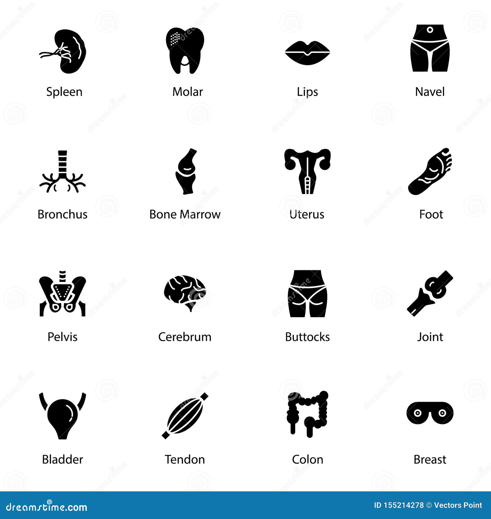 Human Body Solid Icons Pack Stock Vector - Illustration of bronchus ...