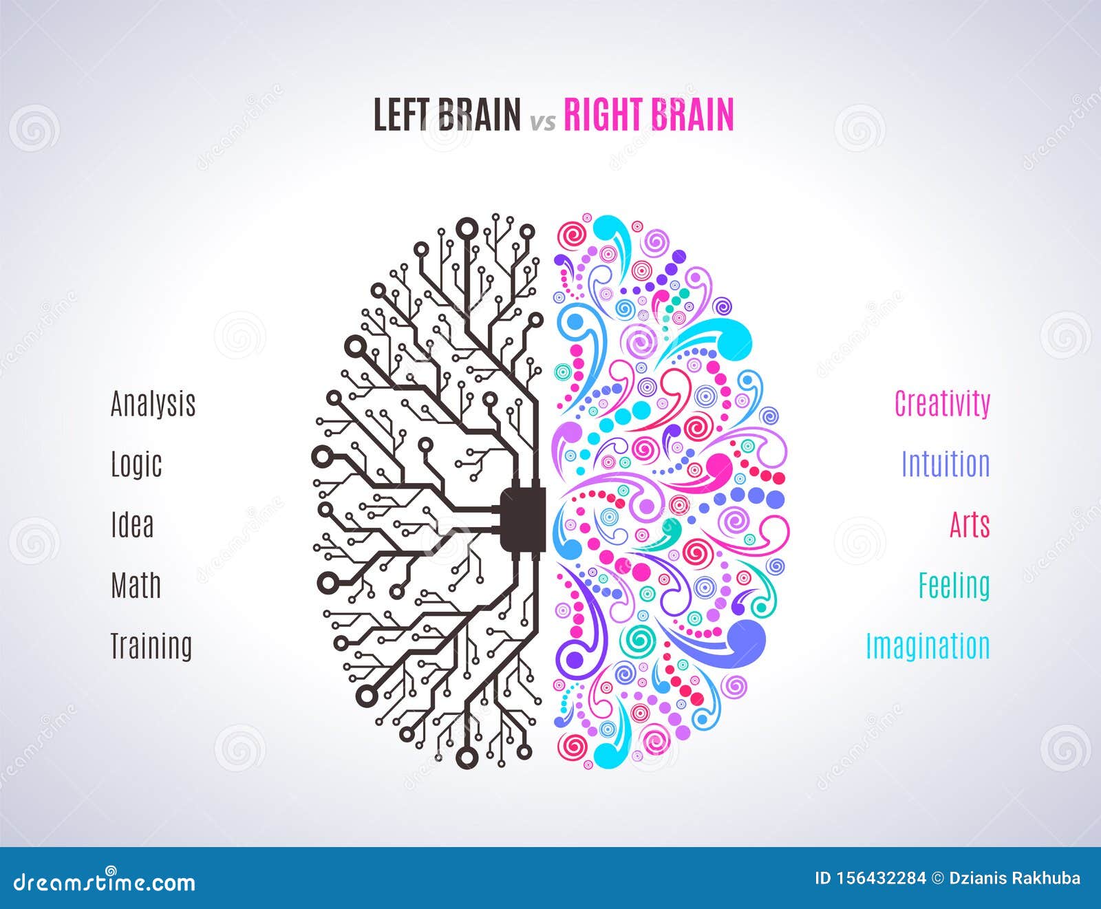 Left and Right Brain Concept Stock Vector - Illustration of knowledge ...