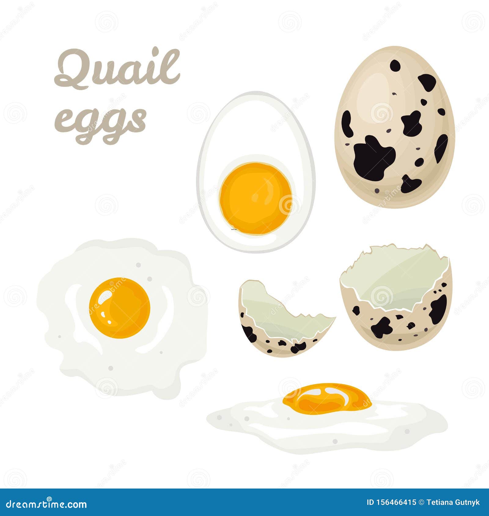 Quail Eggs Isolated on White Background Set. Stock Vector ...