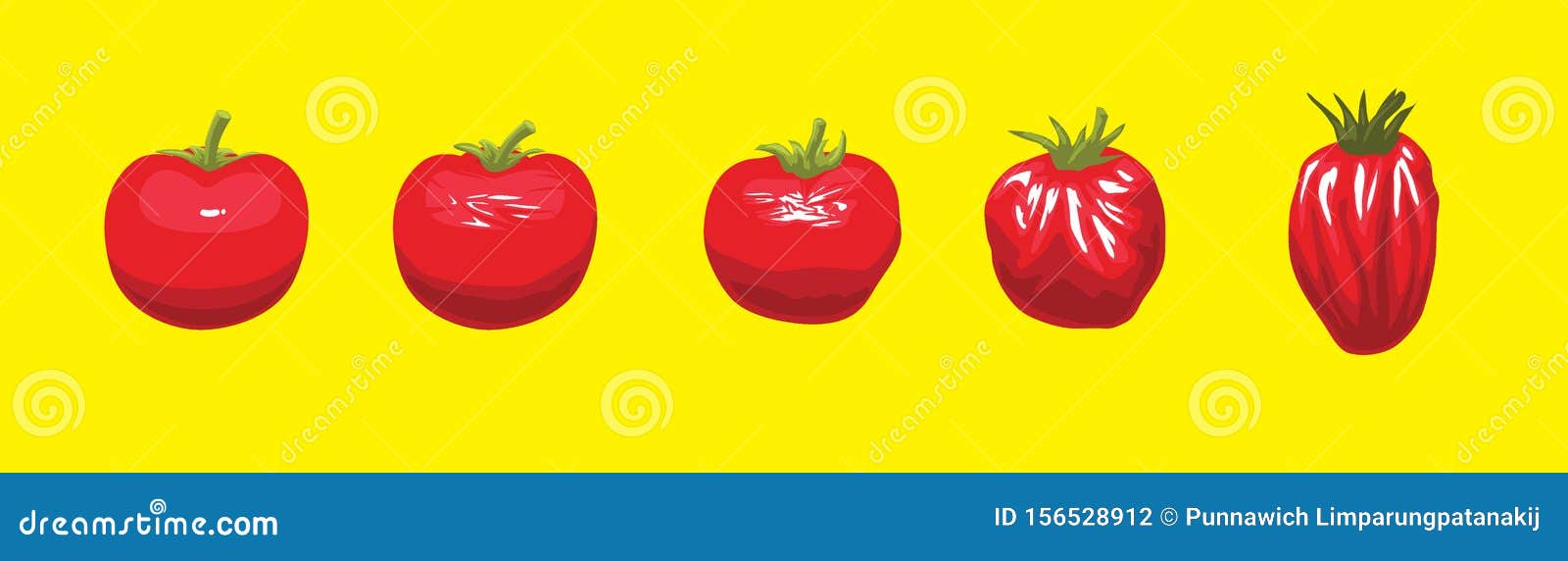 Tomato Fresh Rotten Sequence Set Cartoon Vector Illustration Stock ...