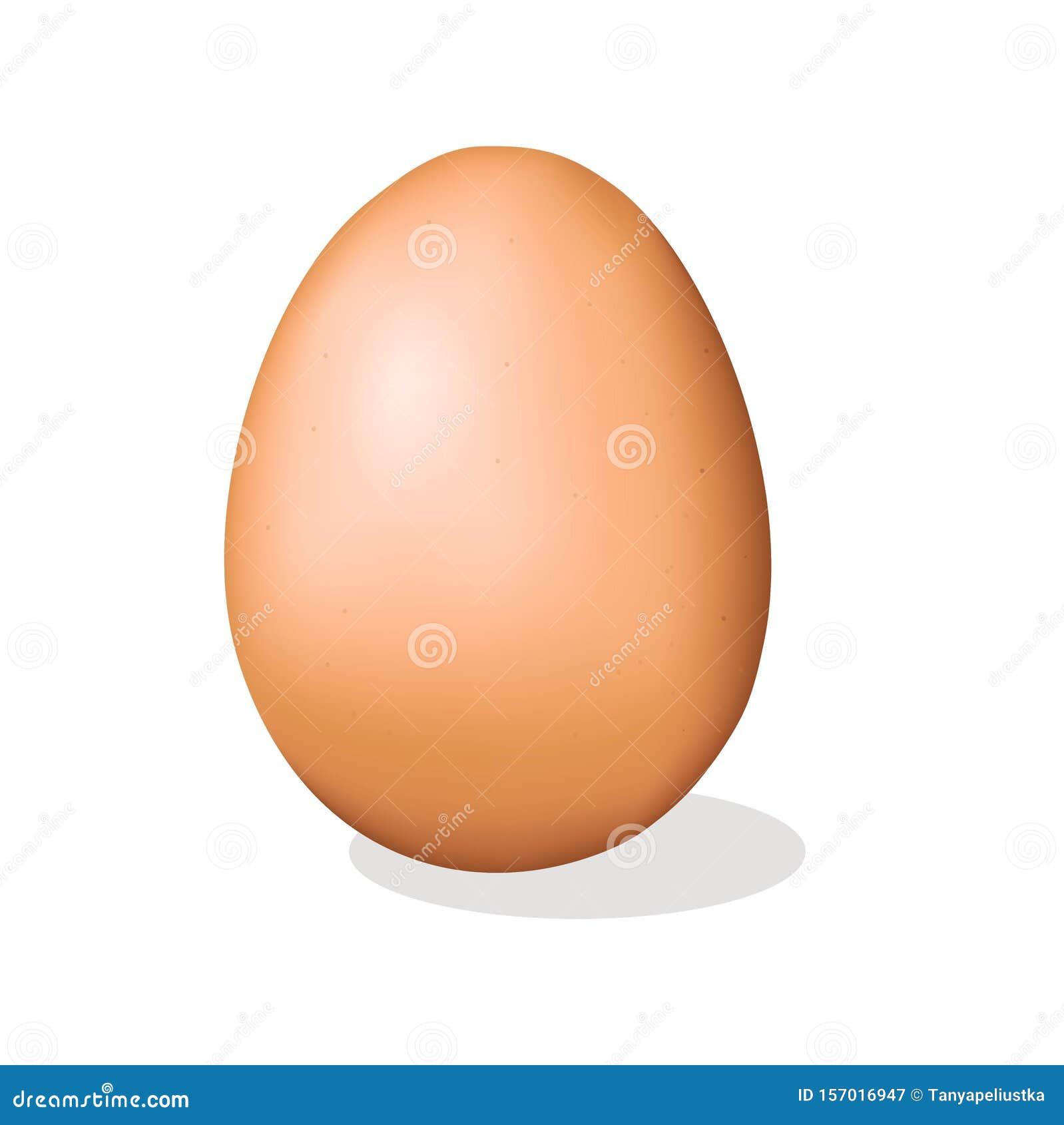 Chicken Egg. Vector Illustration Stock Vector - Illustration of ellipse ...