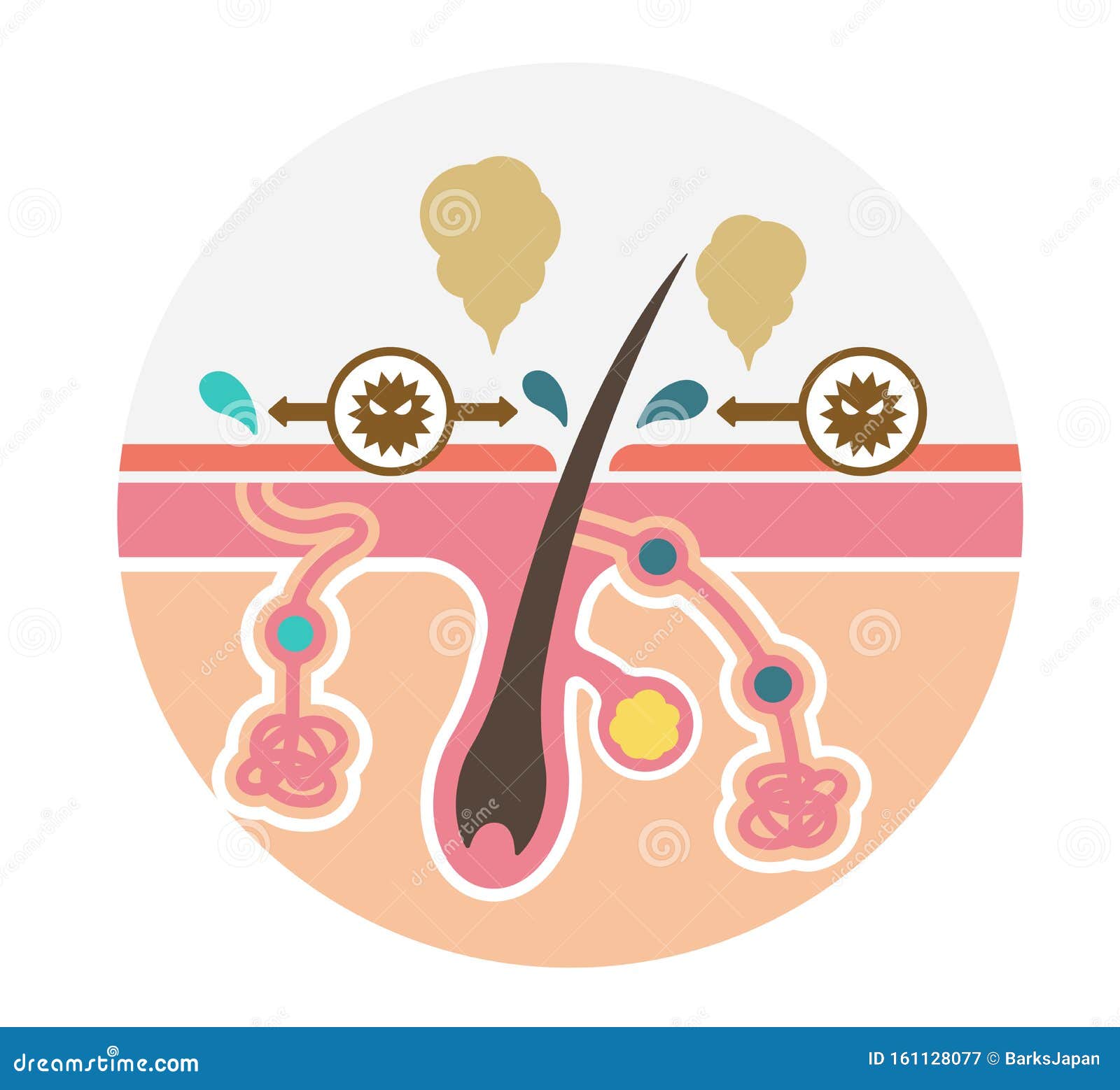 Cause of Body Odor Vector Illustration / Circle Type / No Text Stock ...