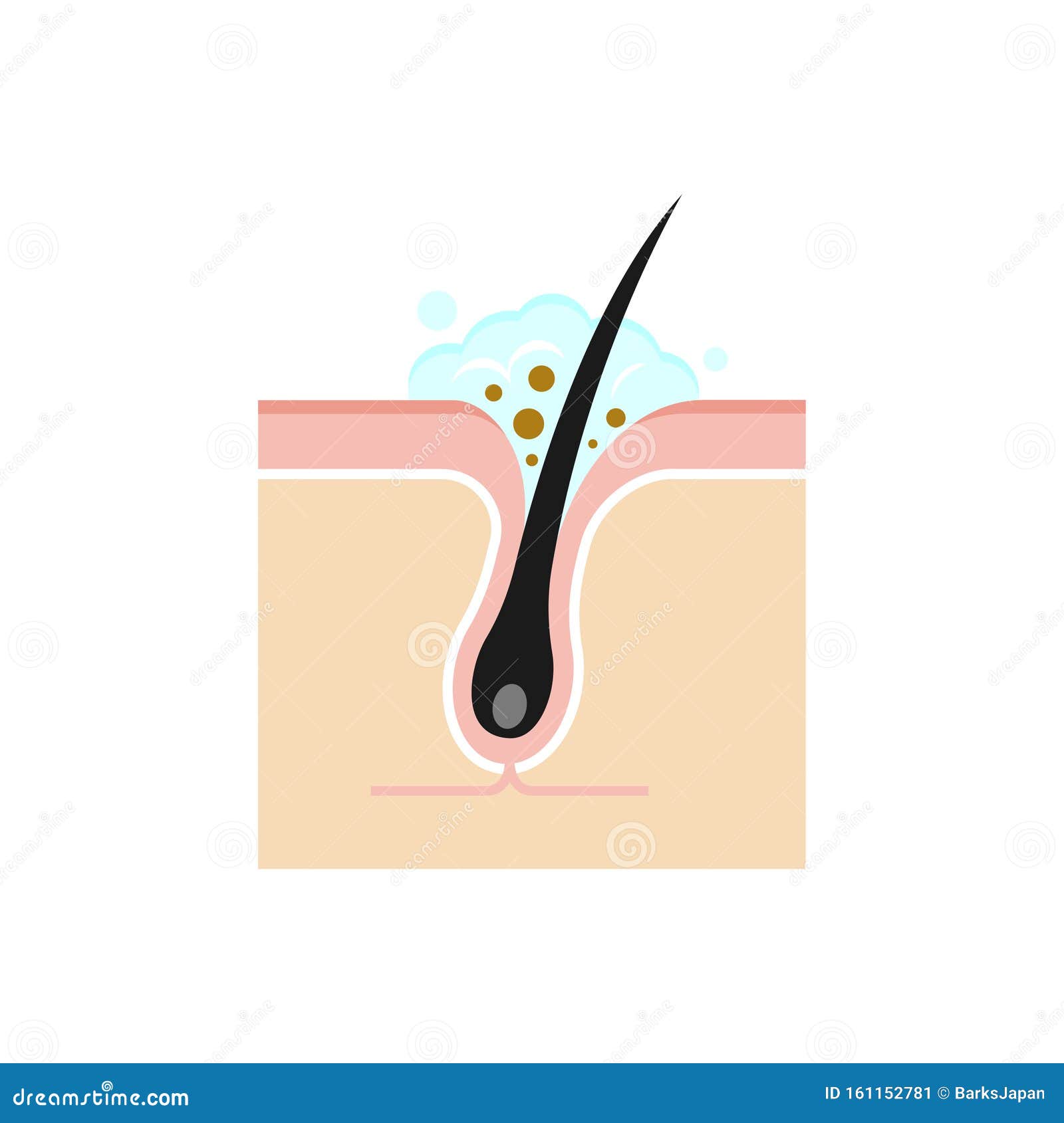 AStructure Illustration of Pores / Cleansing, Clear Whiteheads. Stock ...