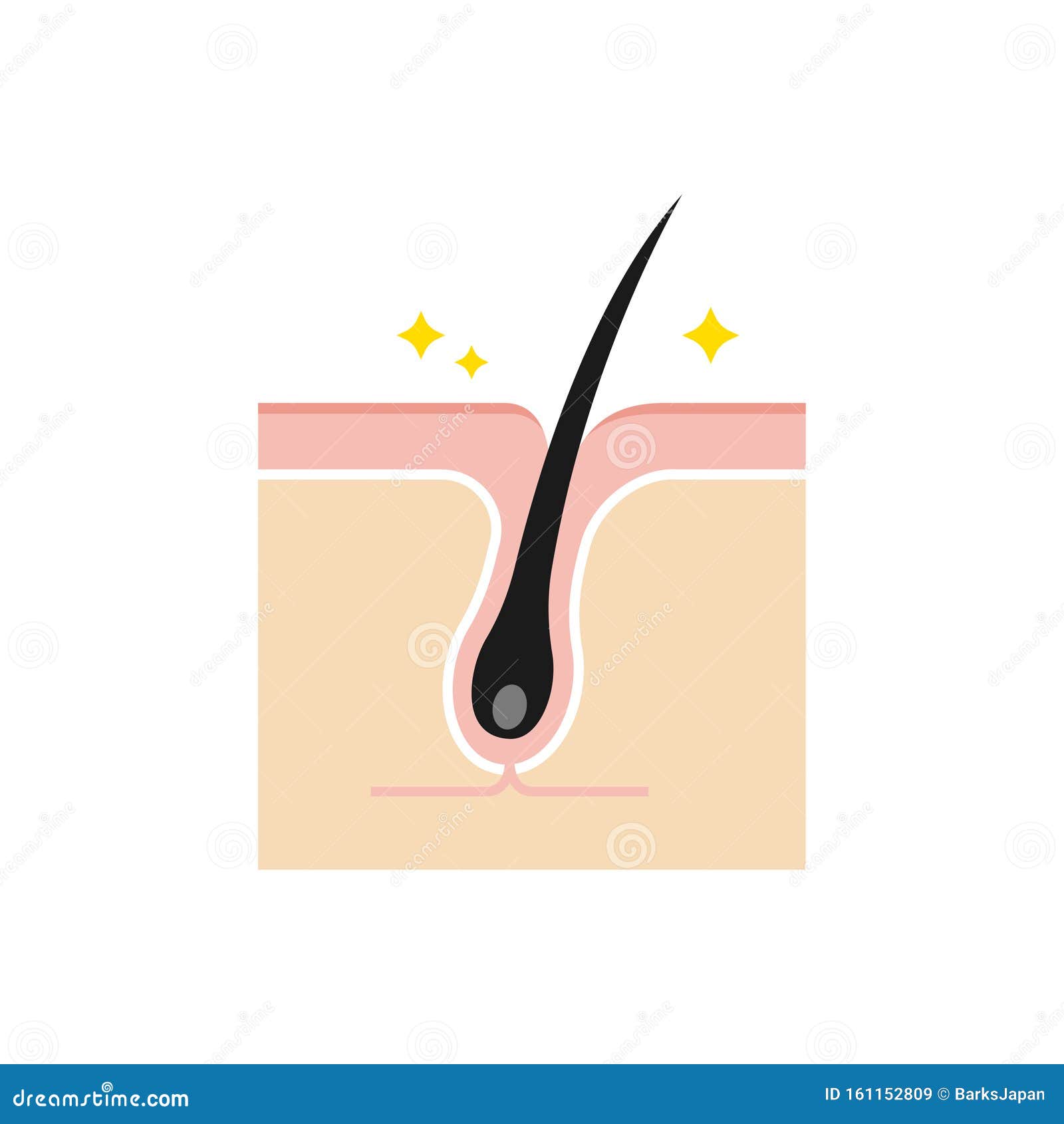 AStructure Illustration of Pores / Clean Pores Stock Vector ...