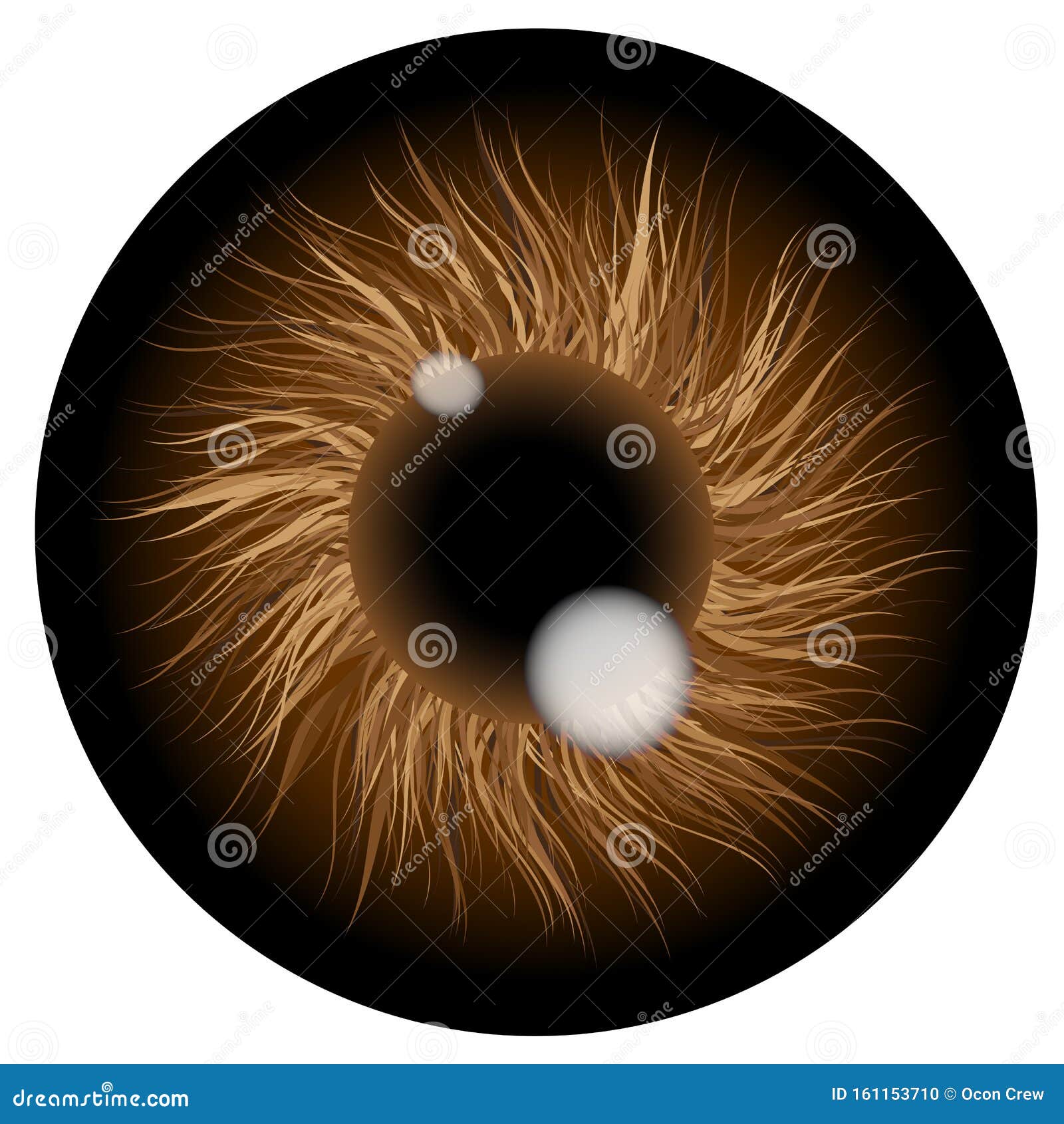 Brown Eyes Illustration Contact Lens. Isolated on Transparent ...