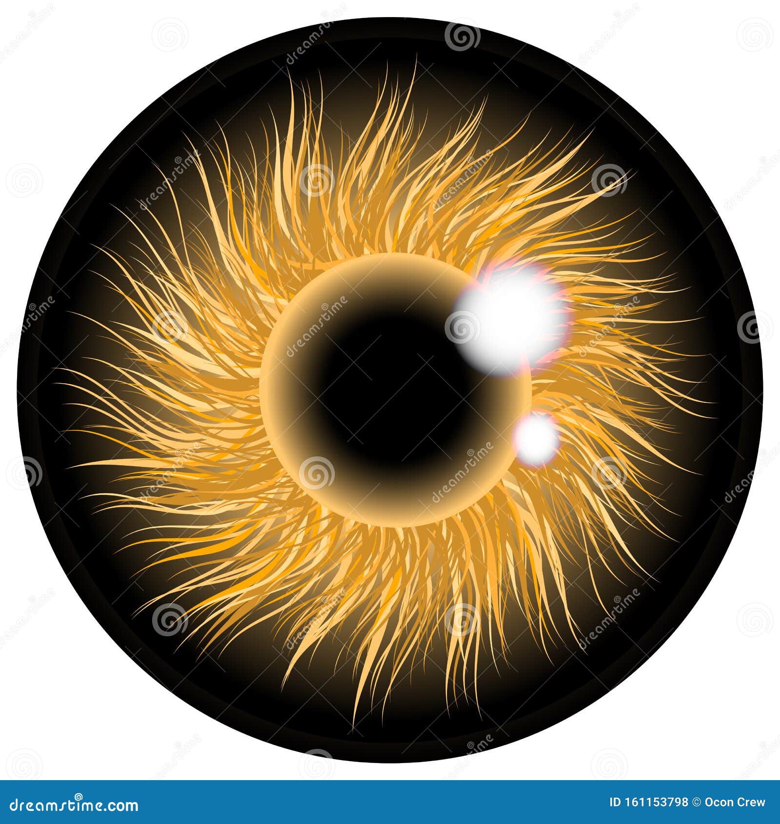 Orange Eyes Realistic Illustration . Stock Illustration - Illustration ...