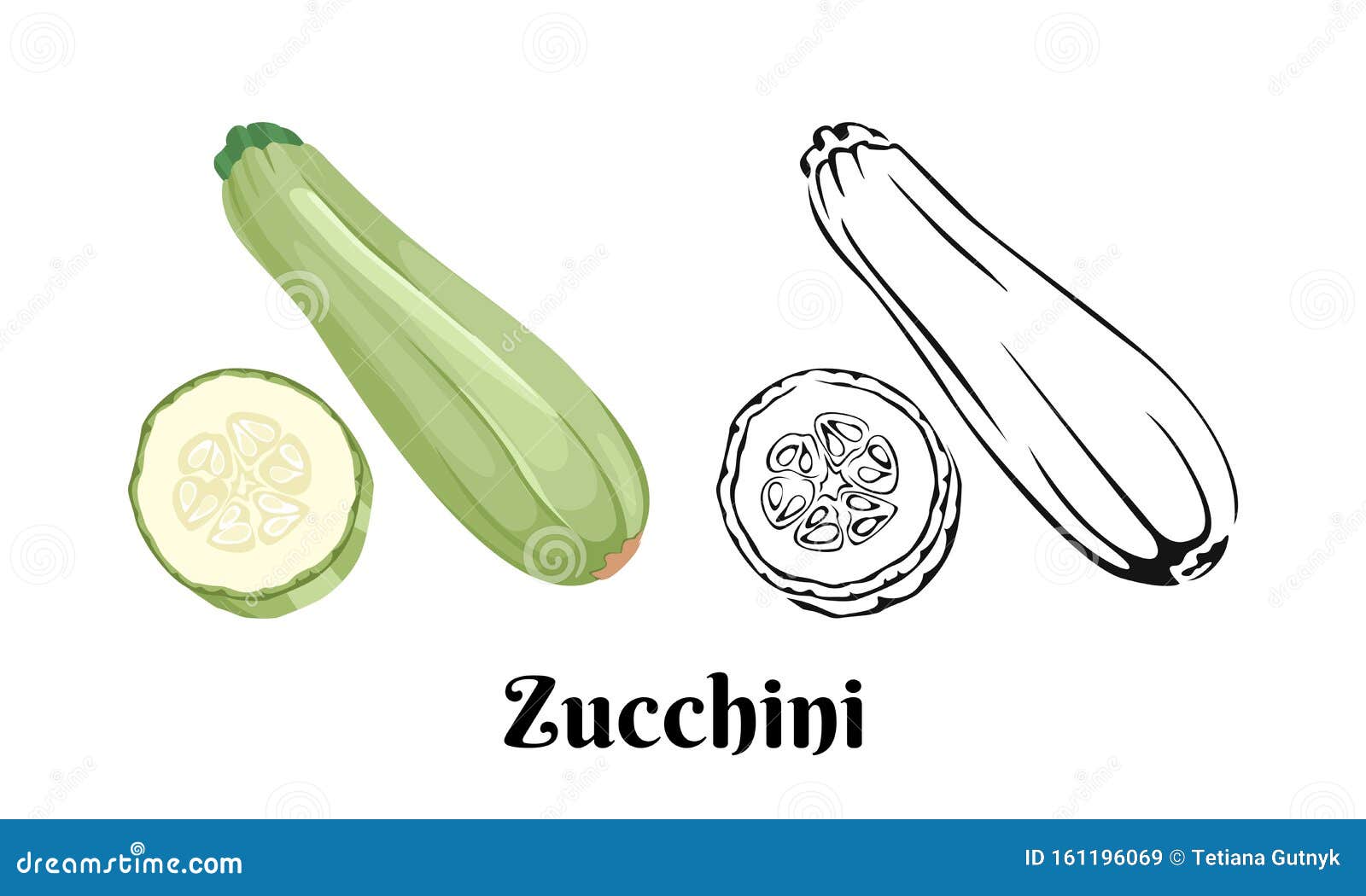 Zucchini Vector Illustration. Color Image And Black And White Outline ...