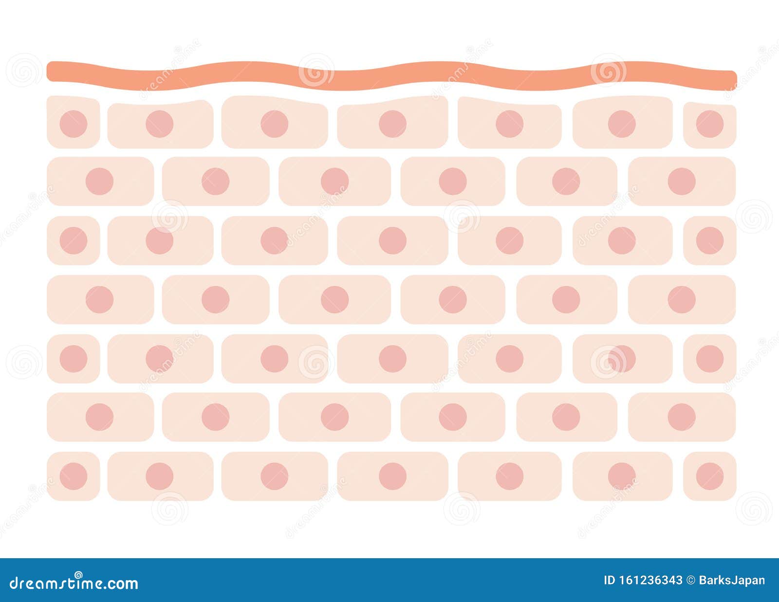 Skin Cell Pattern Flat Illustration / Rough Skin Stock Vector ...
