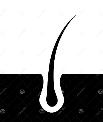 Hair Skin Icon. Hair Symbol EPS 10 Stock Illustration - Illustration of ...