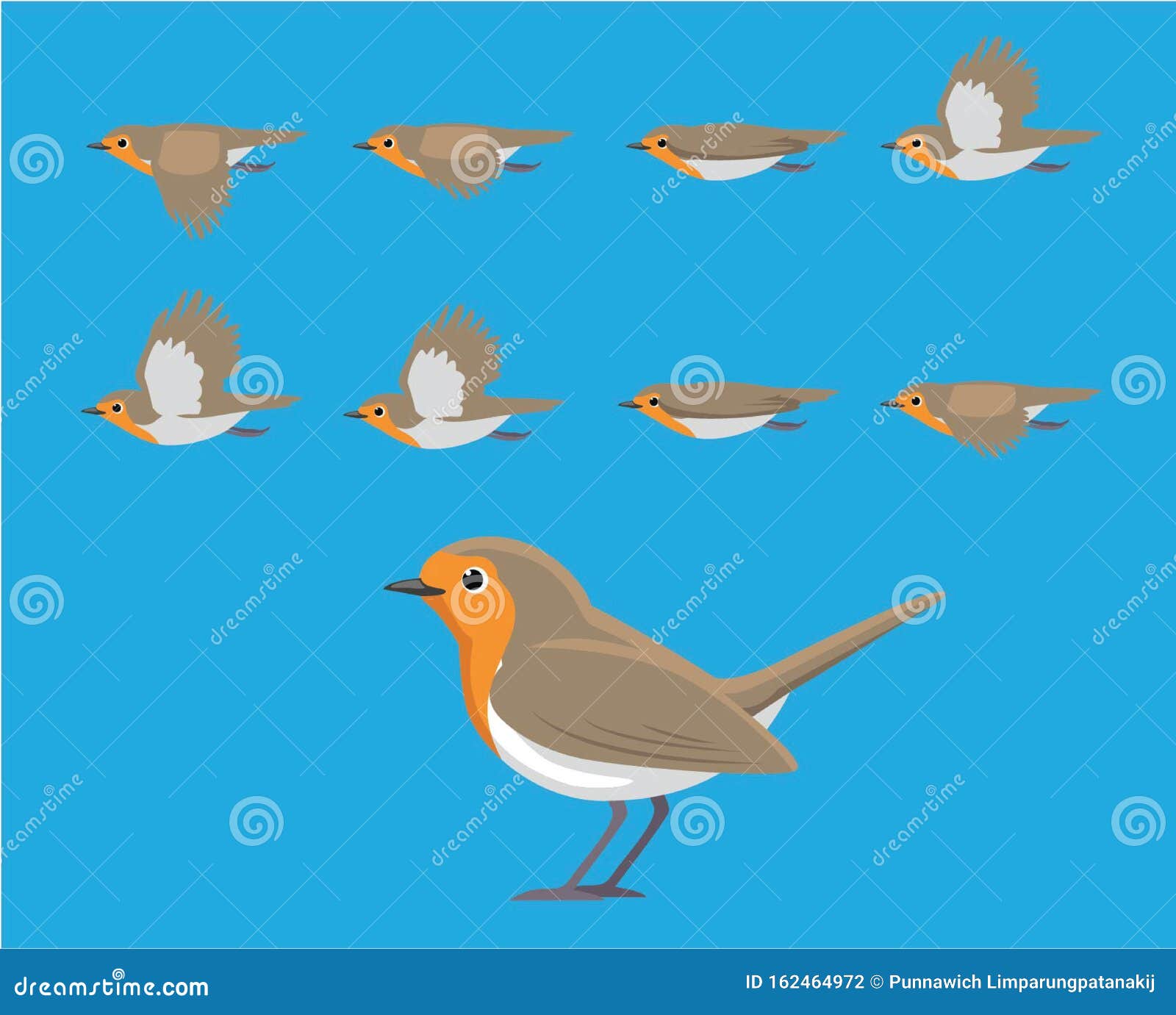 Bird European Robin Flying Cartoon Vector Animation Frame Stock Vector ...