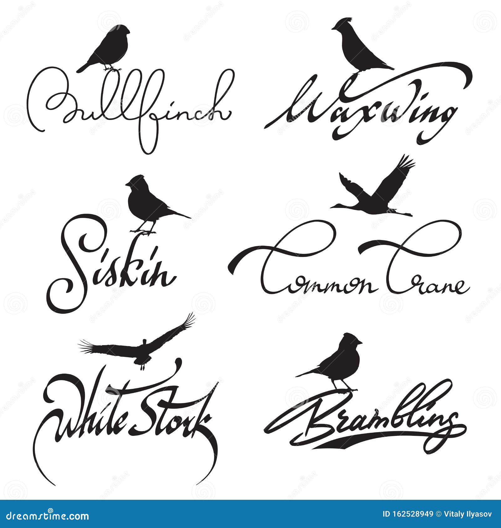 Birds Lettering with Silhouette Set Stock Vector - Illustration of type ...