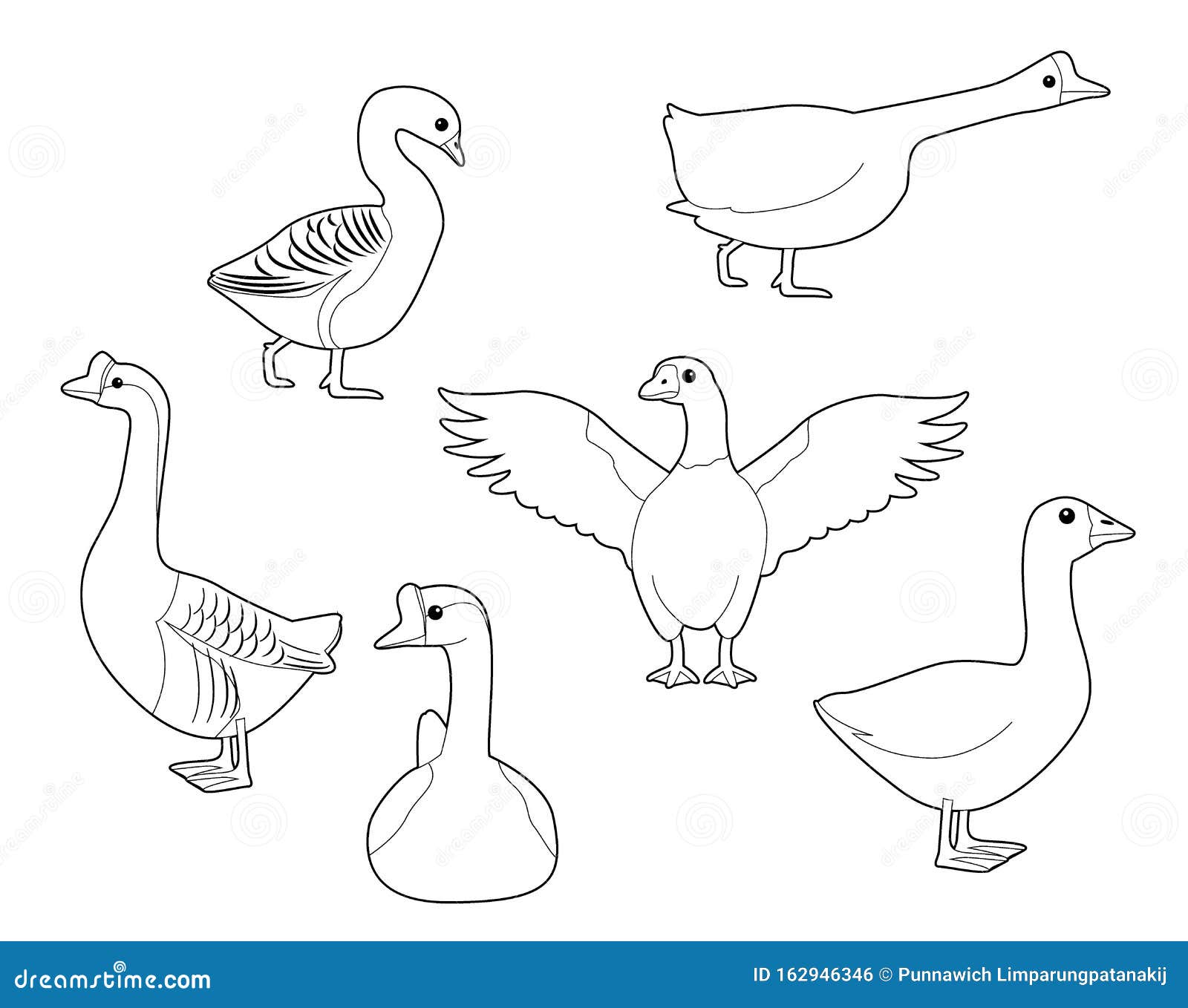 Duck Buff Orpington Cartoon Vector Illustration | CartoonDealer.com ...