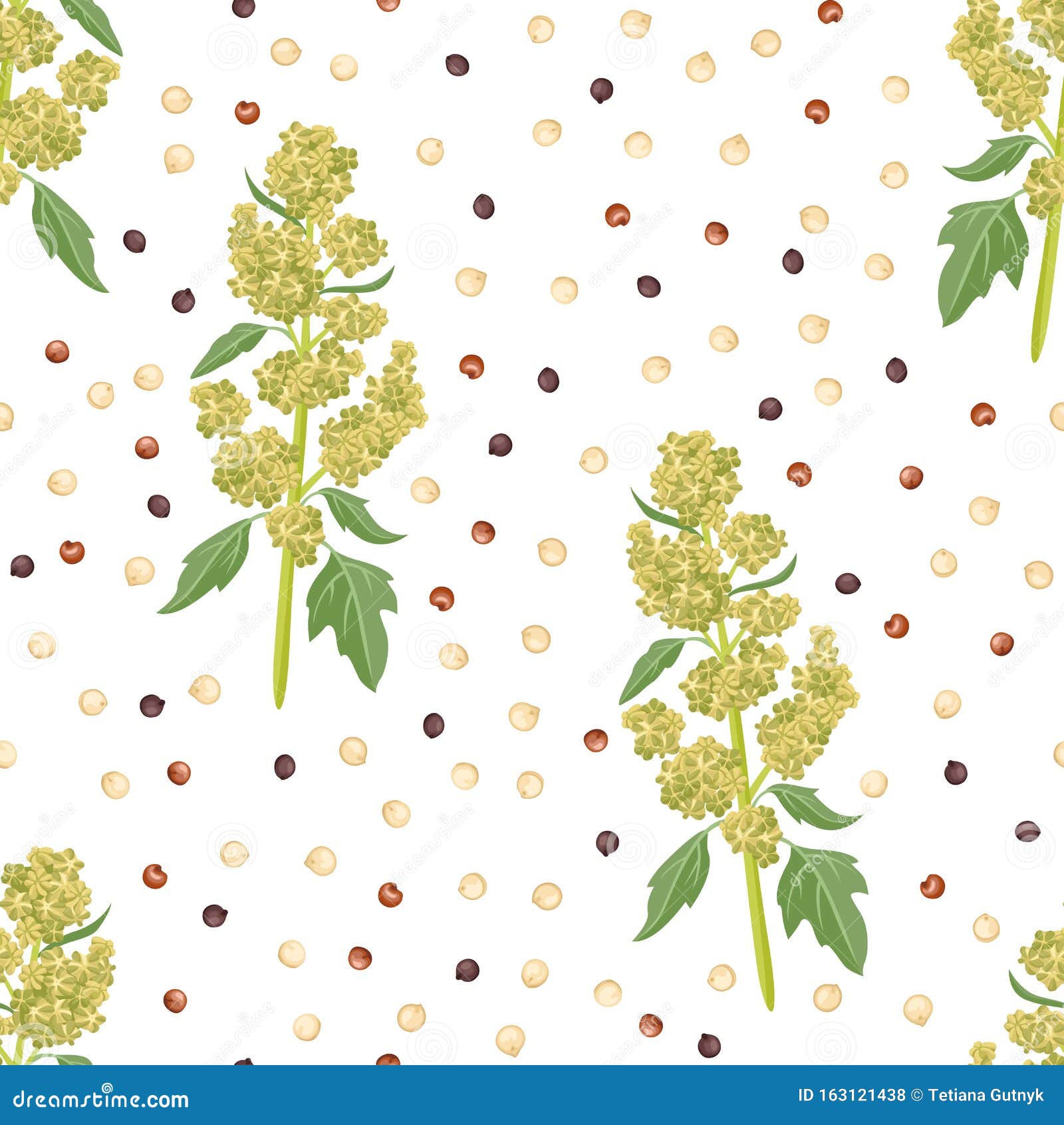 Seamless Pattern with Tricolor Quinoa Grains and Plant Isolated on ...