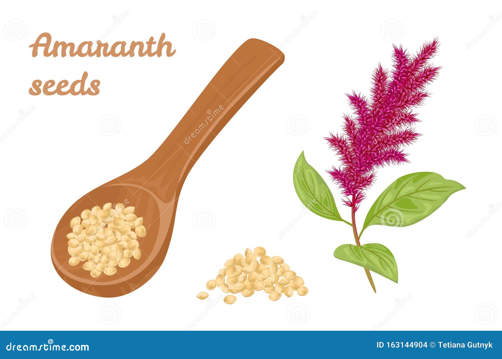 Amaranth Seeds in Wooden Spoon and Branch of Flowering Amaranth Plant ...