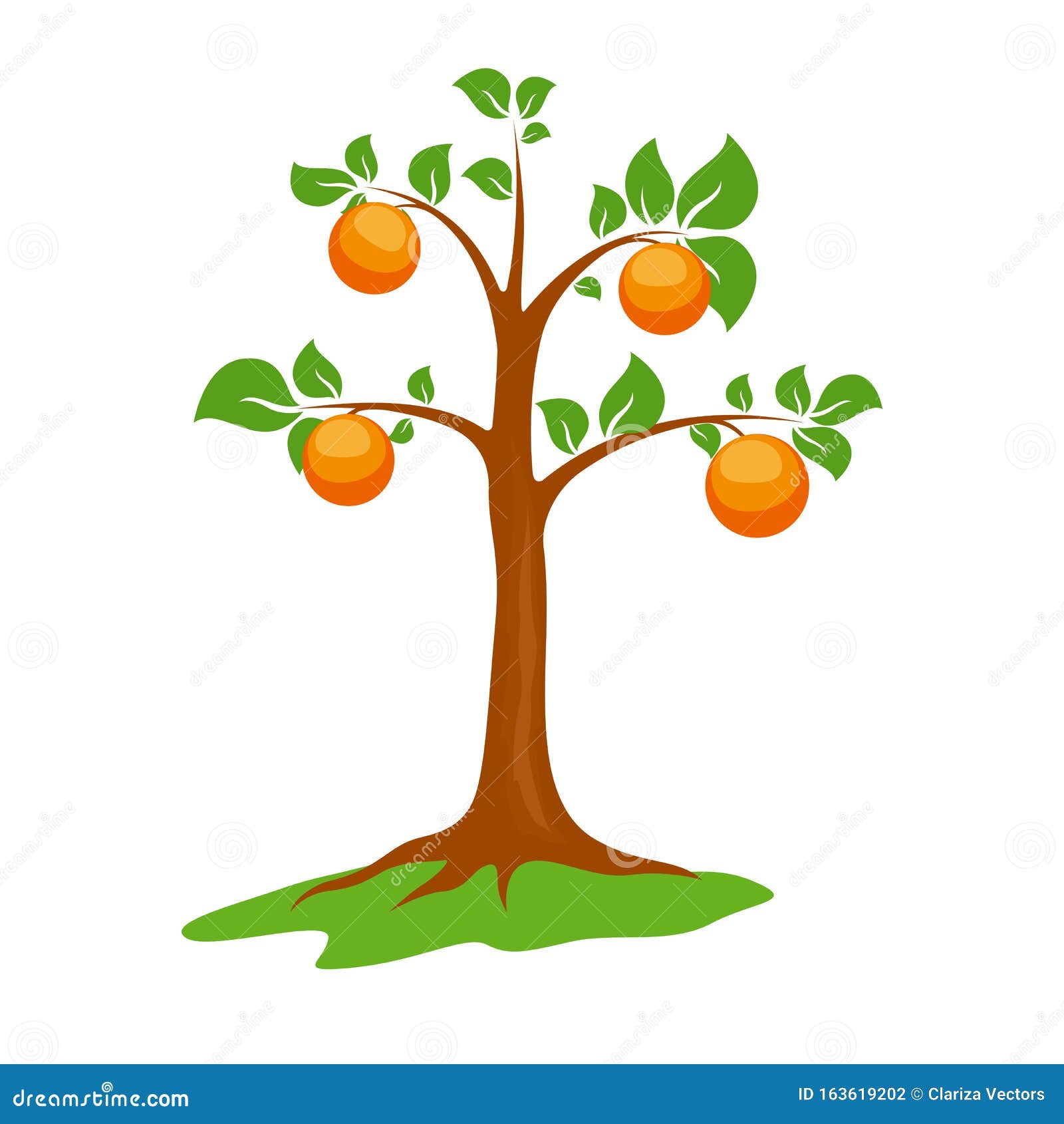 Orange Tree Vector Illustration Stock Vector - Illustration of branch ...