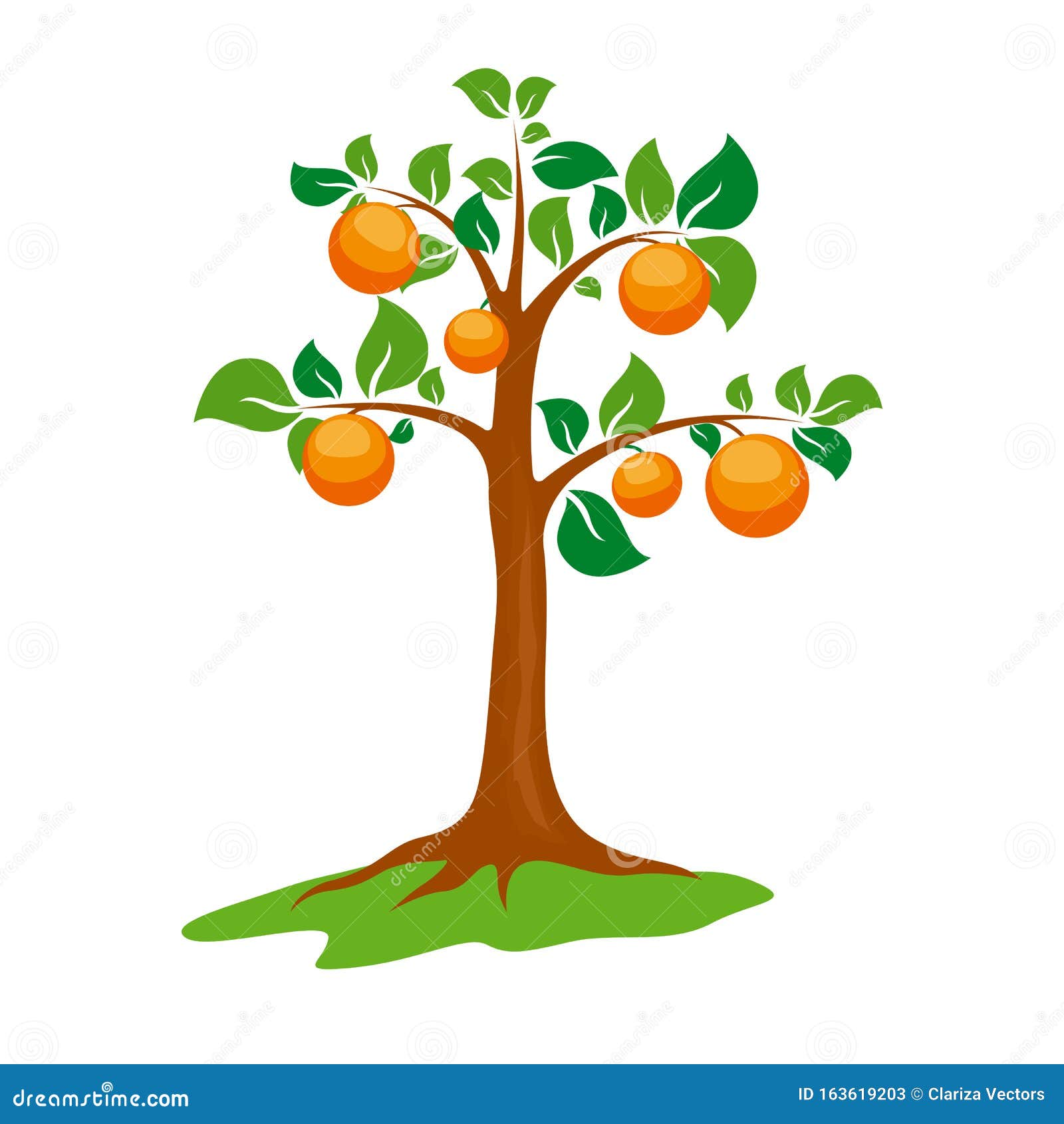 Orange Tree Vector Illustration Stock Vector - Illustration of branchy ...