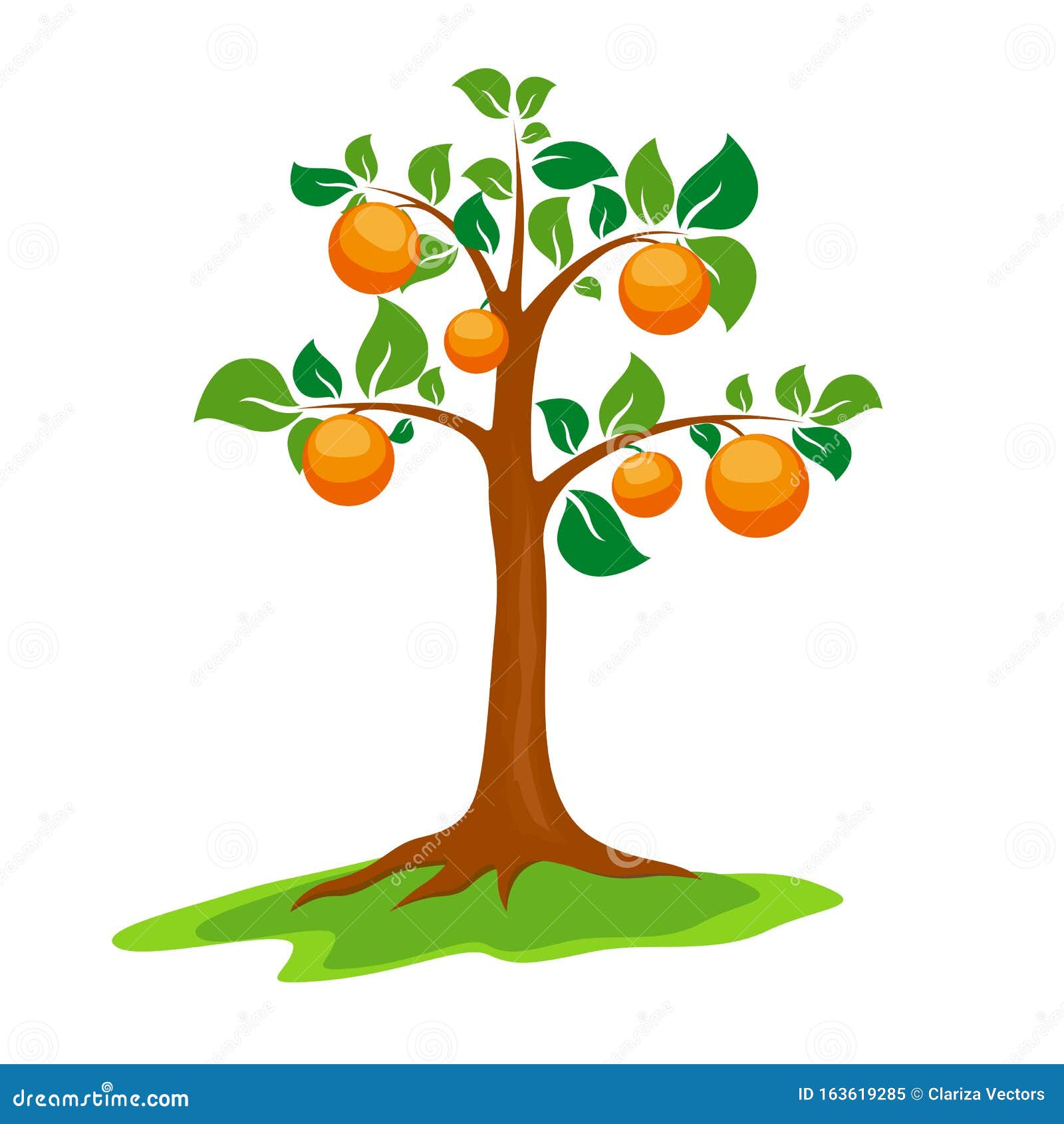 Orange Tree Vector Illustration Stock Vector - Illustration of blossom ...