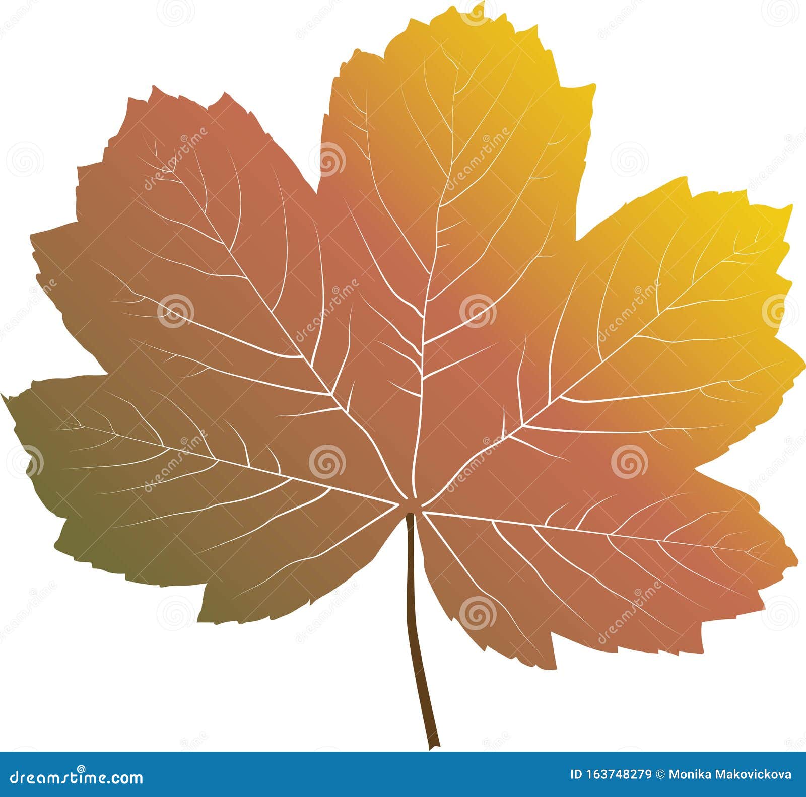 Autumn vector maple leaf stock illustration. Illustration of isolated ...