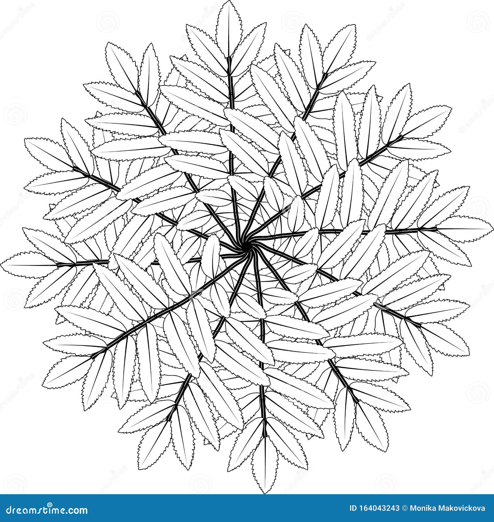 White leaf mandala pattern stock vector. Illustration of plant - 164043243