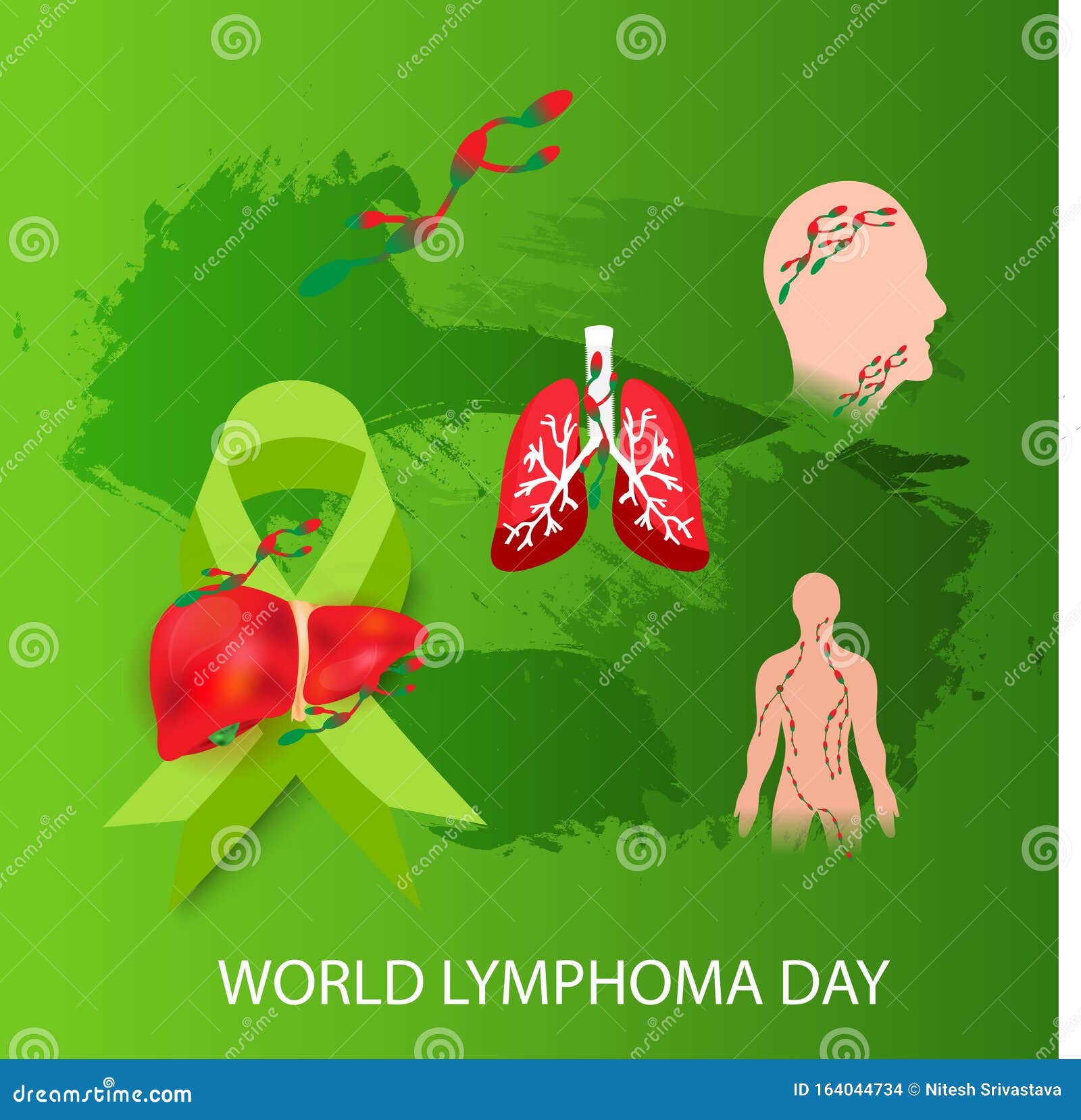 World Lymphoma Day. Increase In The Size Of The Lymph Nodes. Vector ...