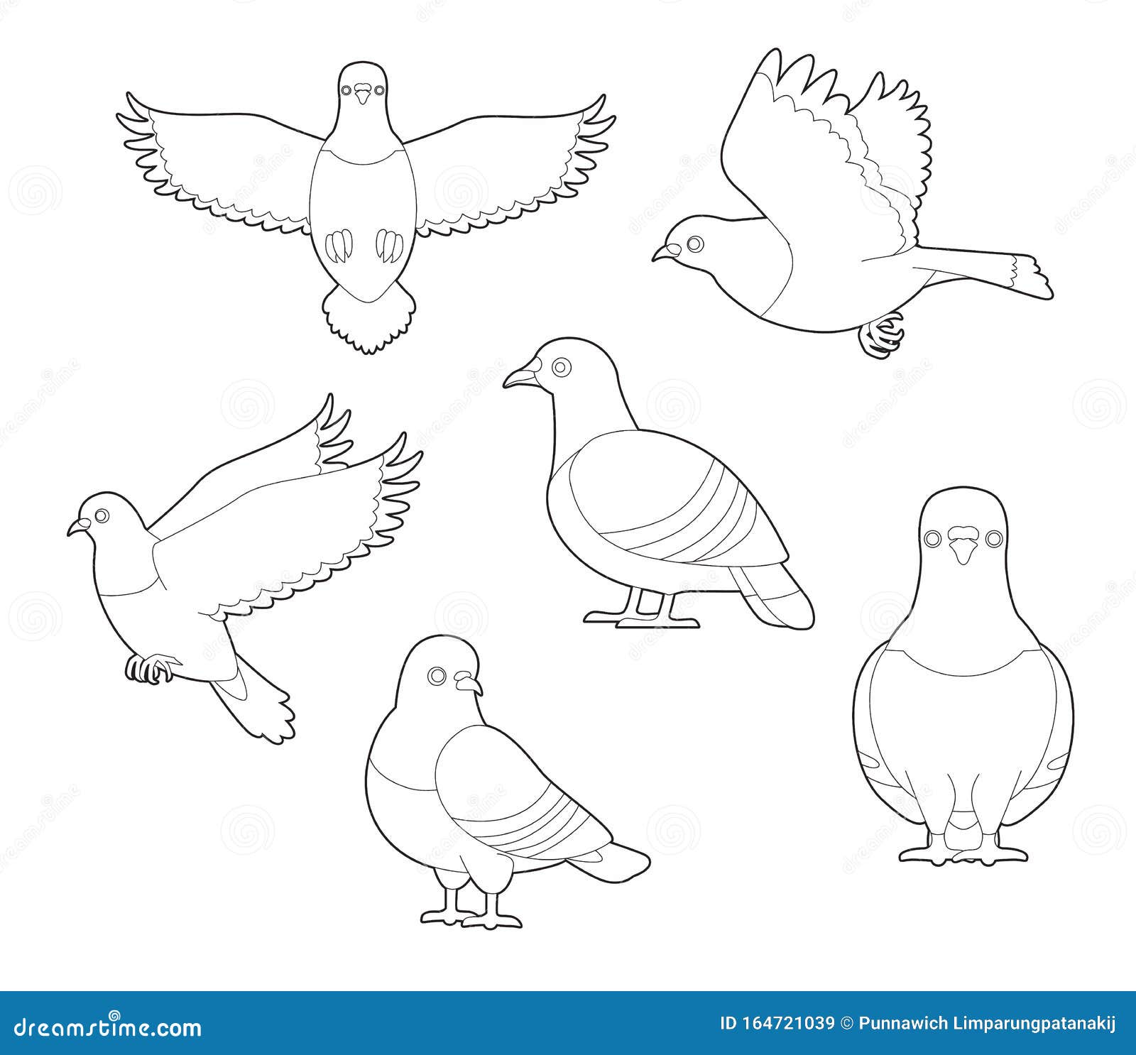 Pigeon Cute Cartoon Dove Bird Pointing With Wing Vector Illustration ...