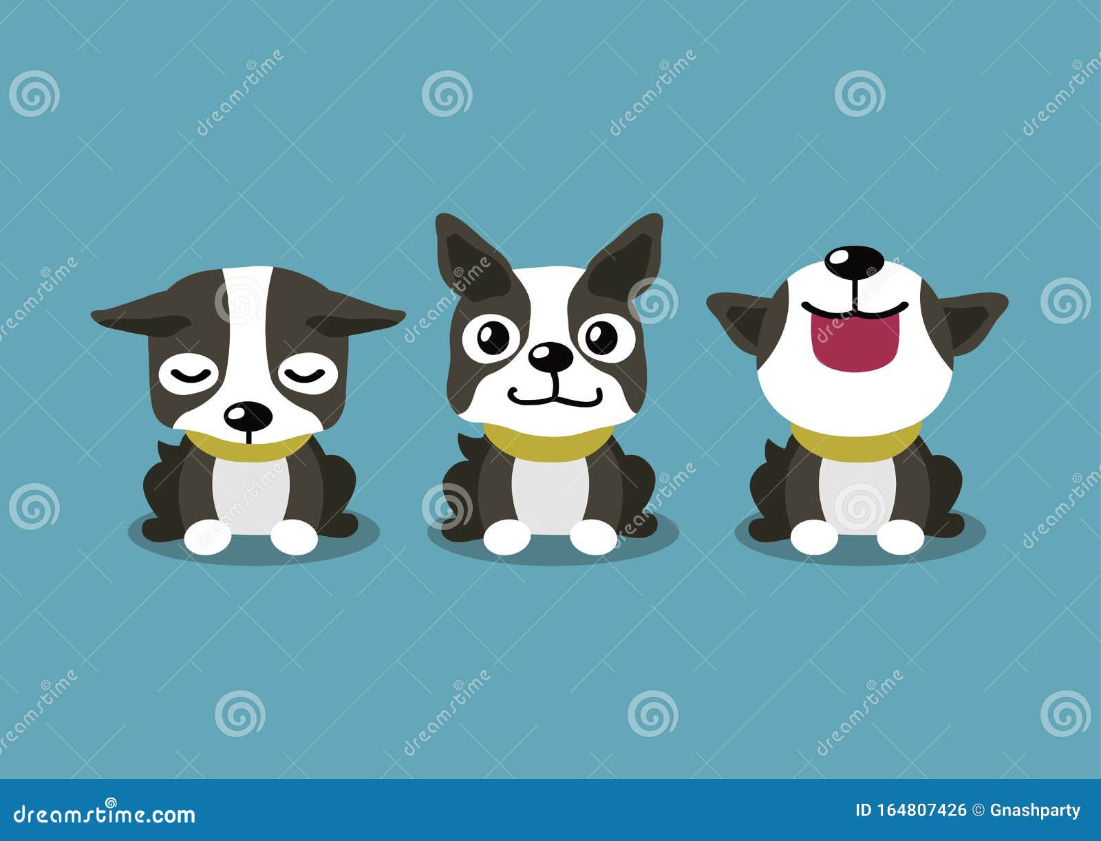 Cartoon Character Boston Terrier Dog Poses Stock Vector - Illustration ...