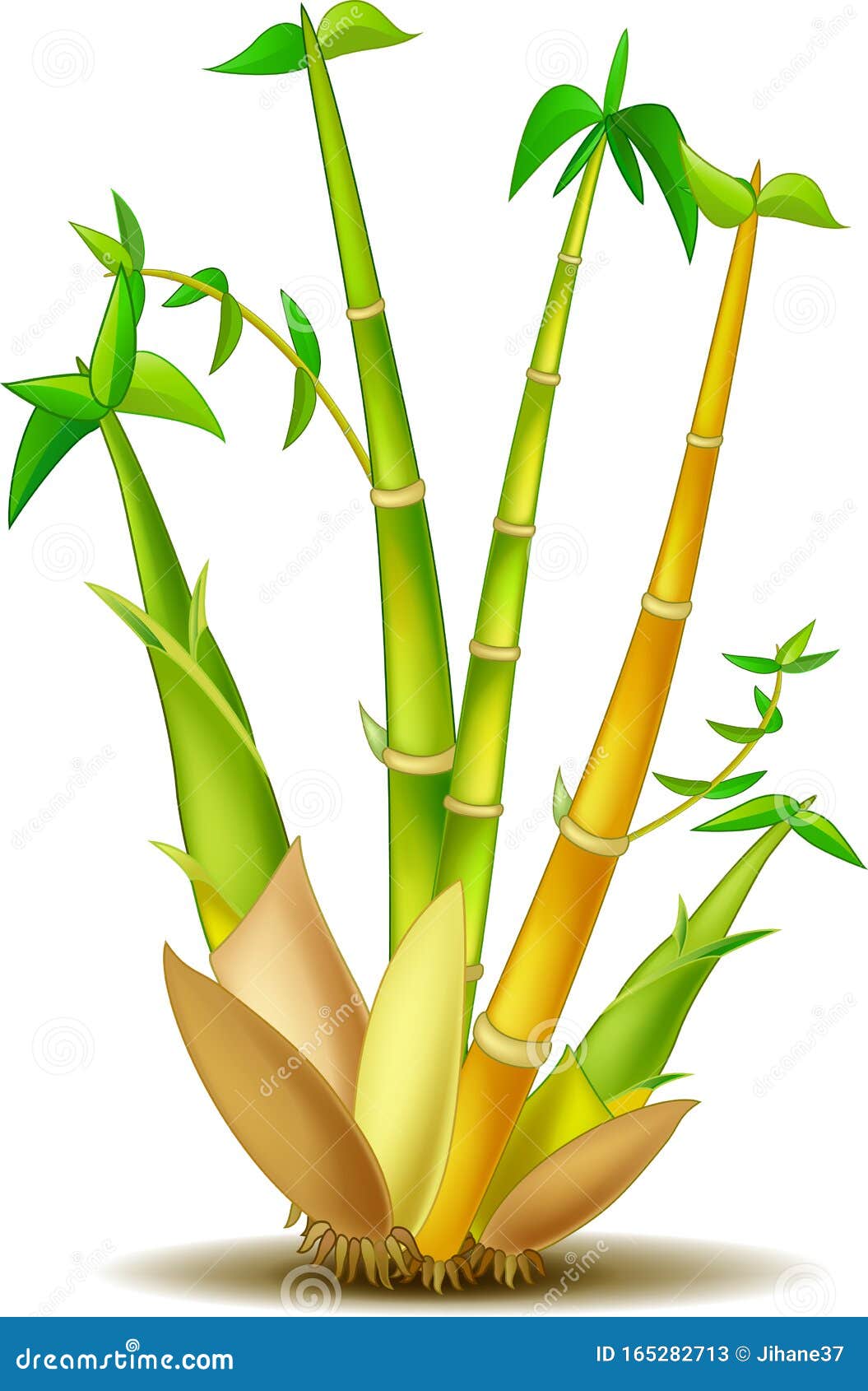 Green Yellow Bamboo Tree Cartoon Stock Illustration - Illustration of ...