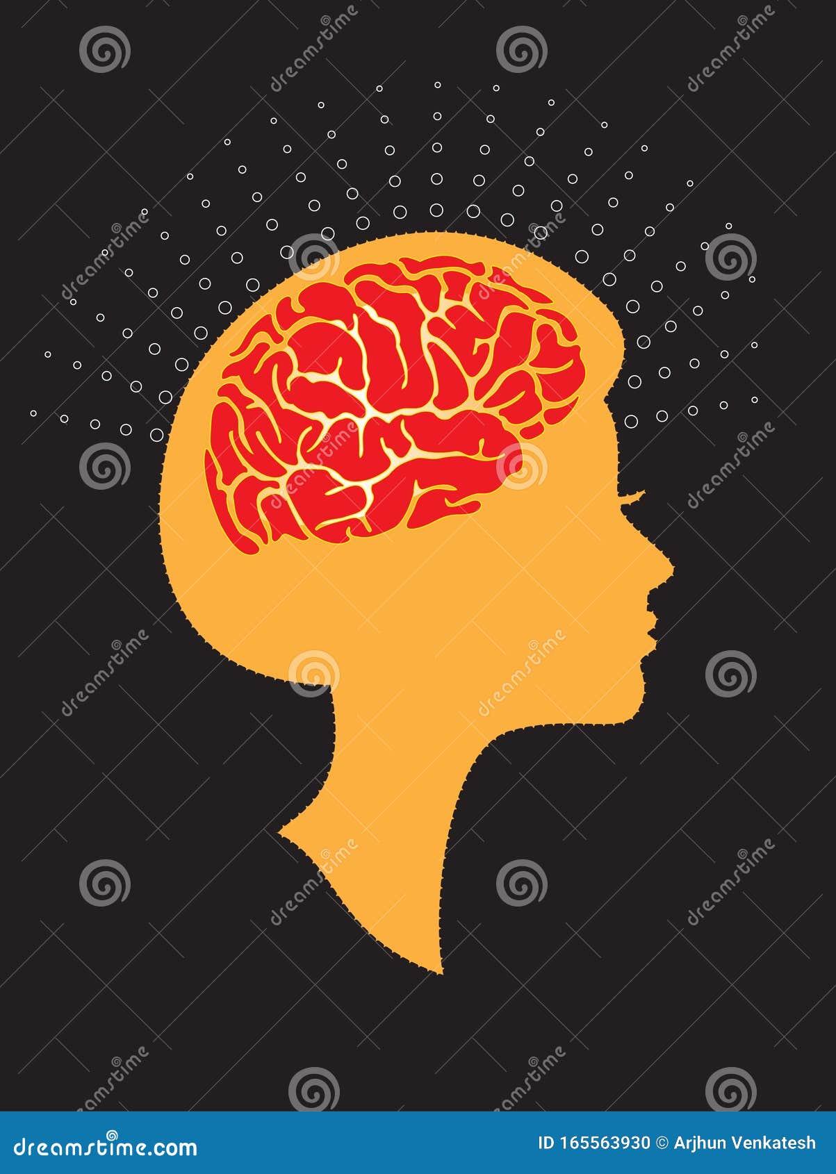 Human Brain Model Side View Isolated on Black Background Stock ...